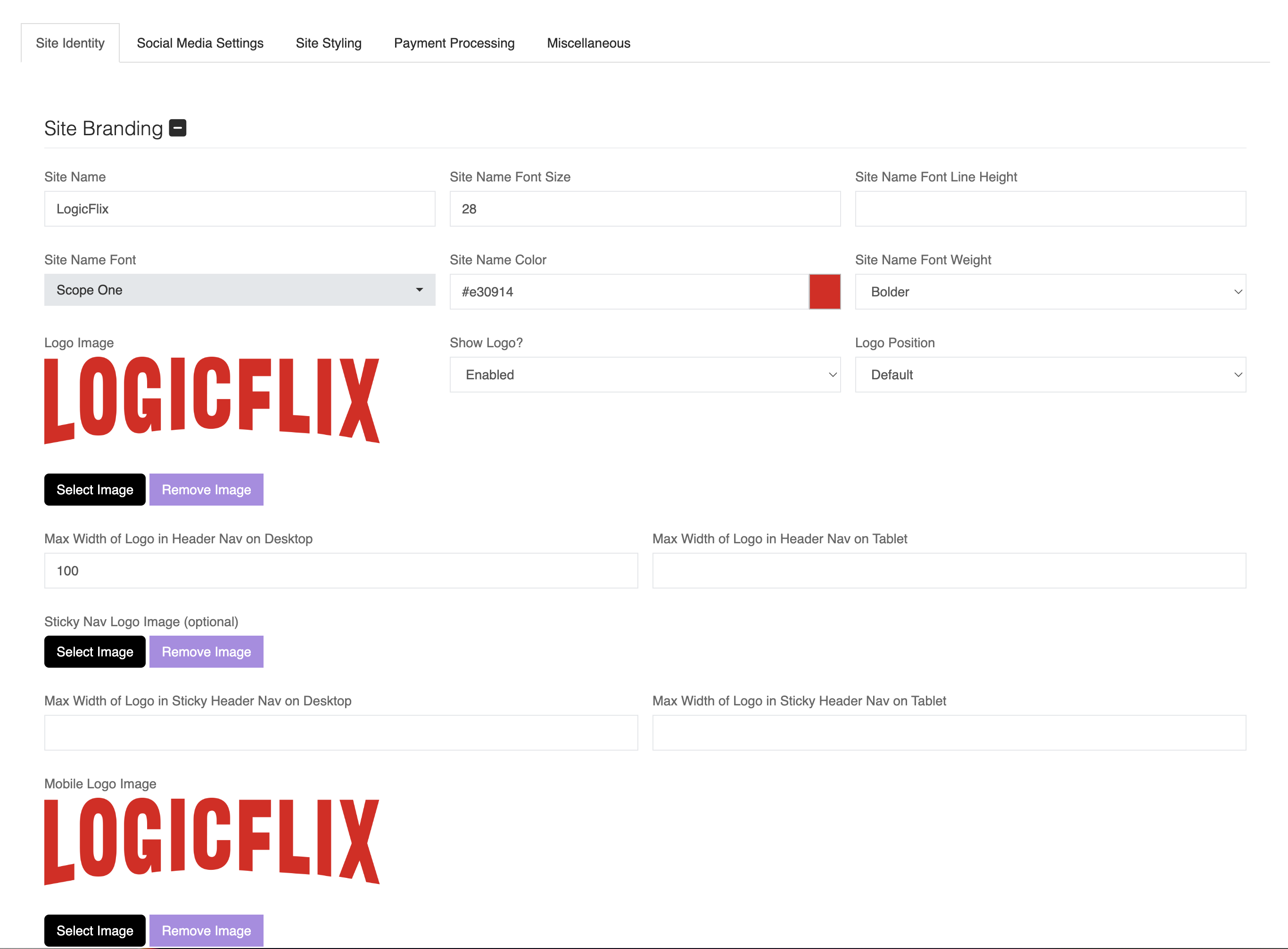 Website Branding & Identity – Logic CMX